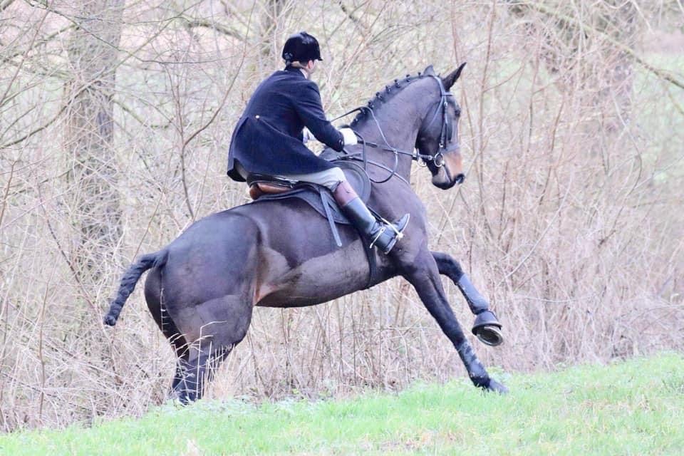 Jagdreiten mit Stil | Stil und Form der Schleppjagd | Stabilität und ...
