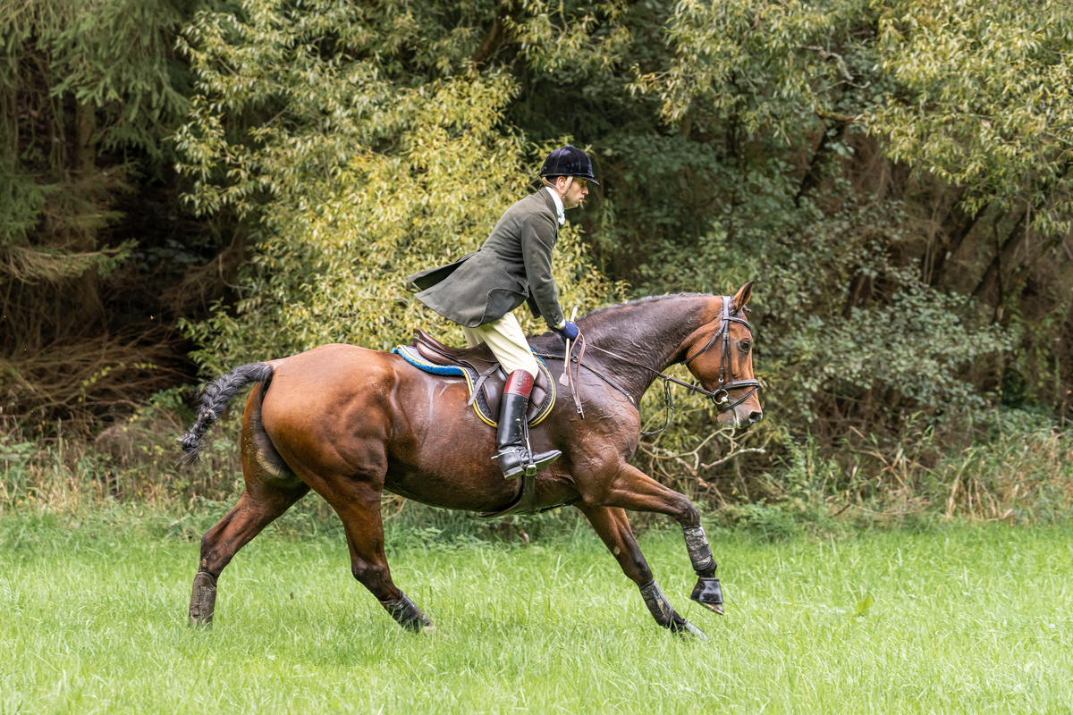 Jagdreiten mit Stil